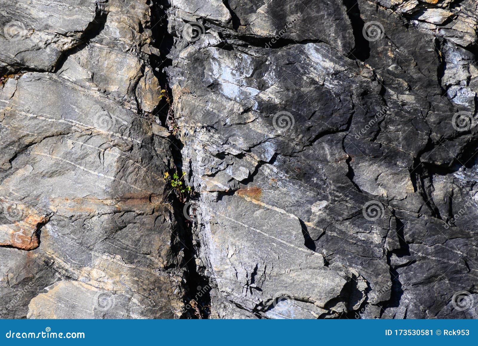 Nature Abstract: Pattern Created by Cracks and Crevices in a Solid Rock ...
