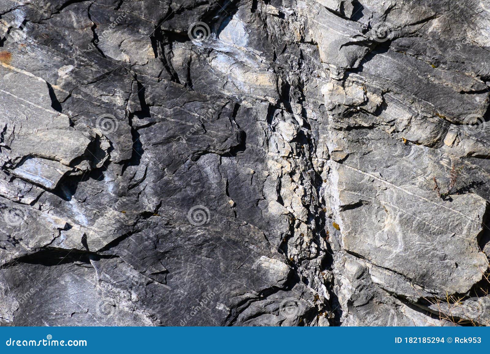 Nature Abstract: Pattern Created by Cracks and Crevices in a Solid Rock ...
