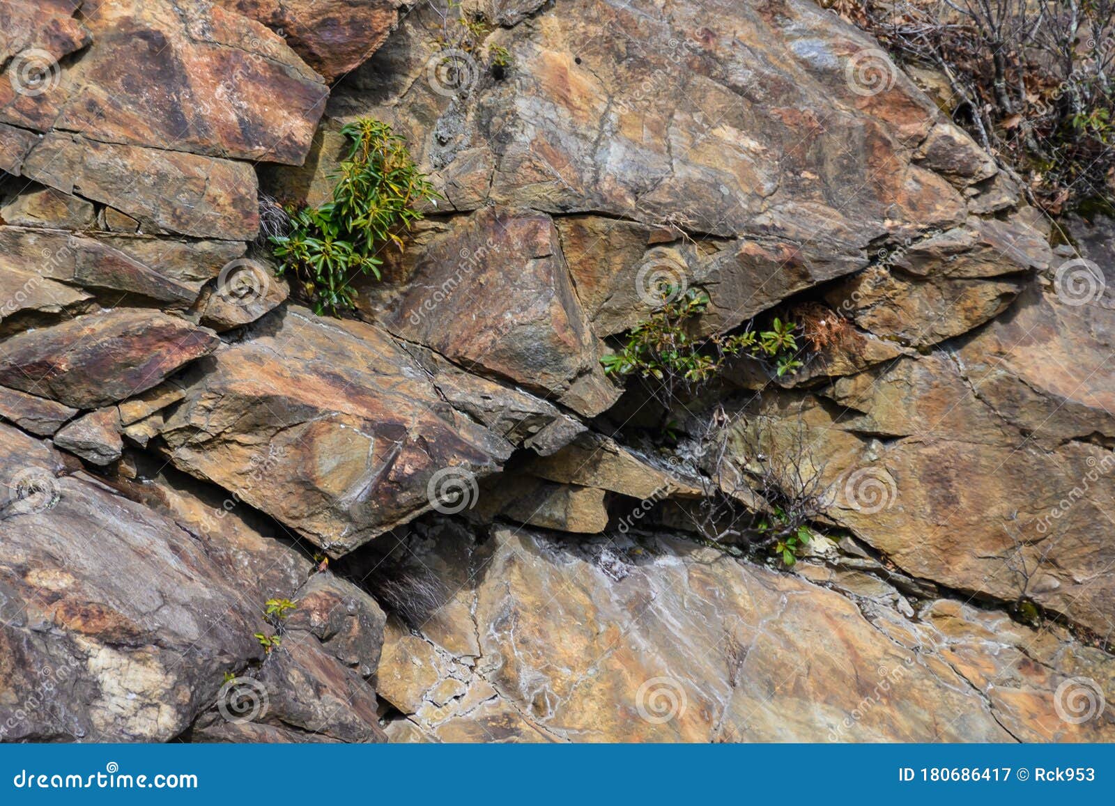 Nature Abstract: Pattern Created by Cracks and Crevices in a Solid Rock ...