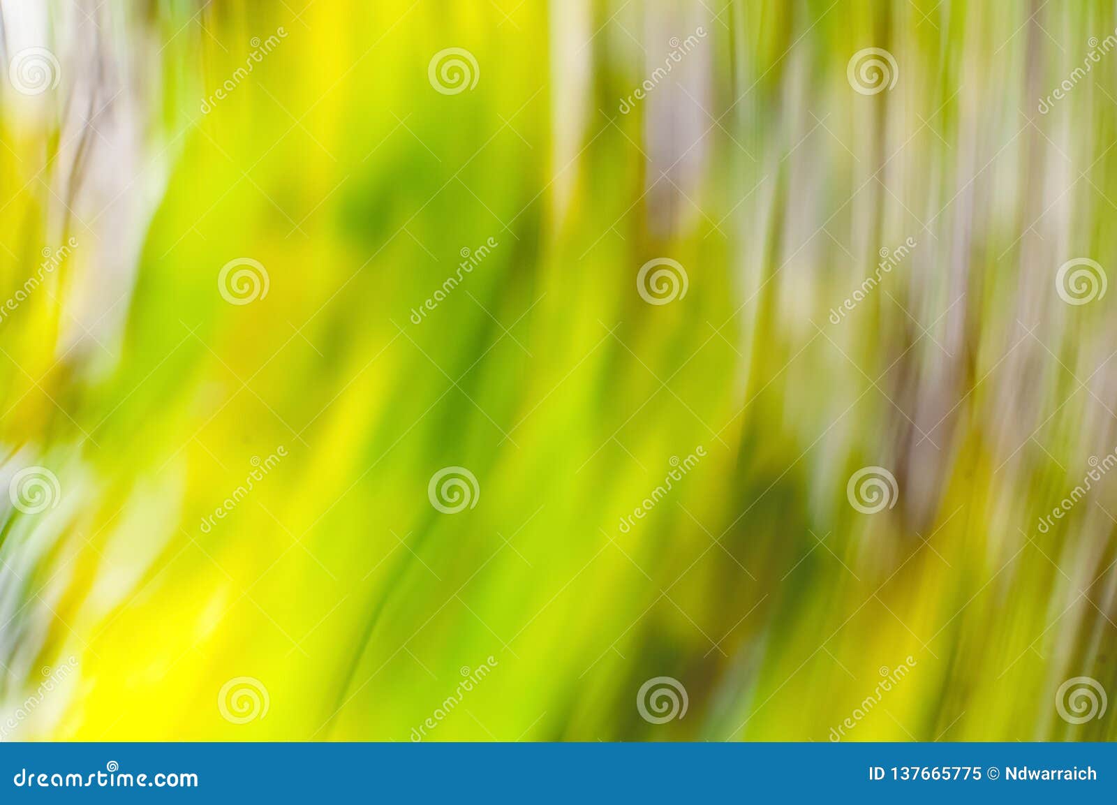 Nature Abstract Swirl Texture Stock Image - Image of patterns, texture ...