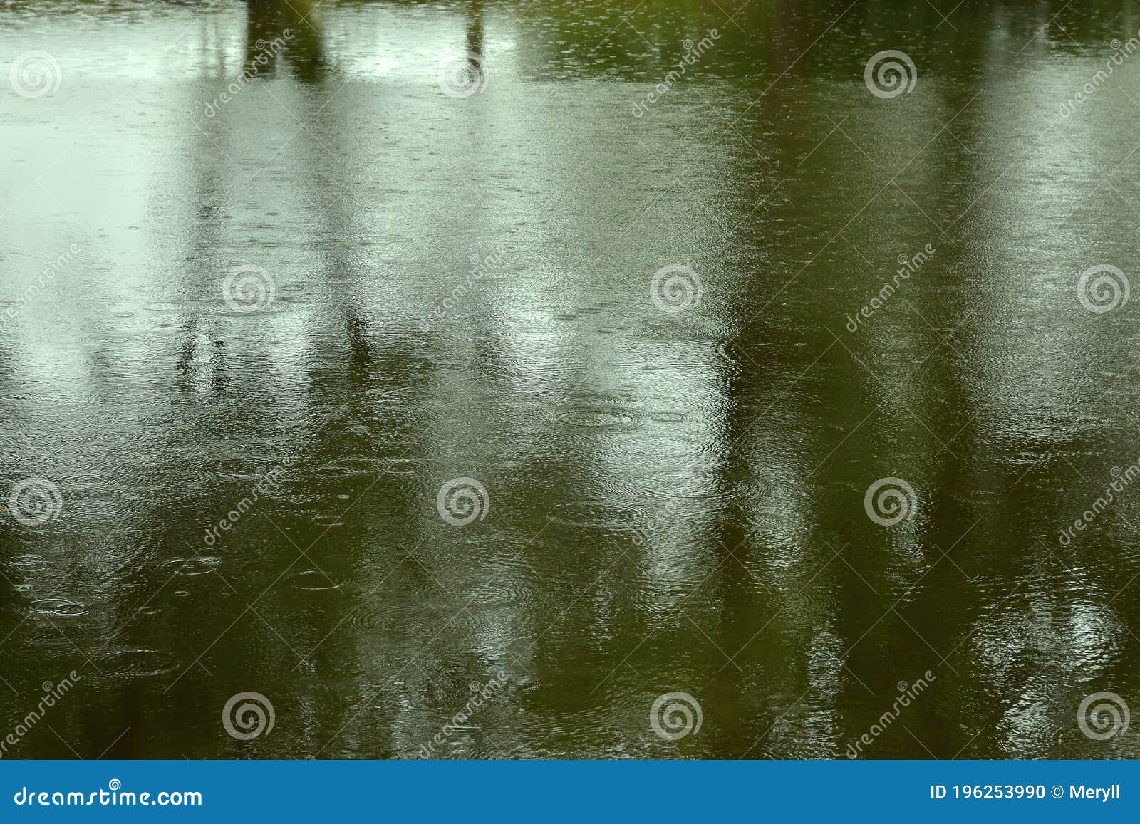 Nature Abstract Water Reflections Stock Photo - Image of green ...