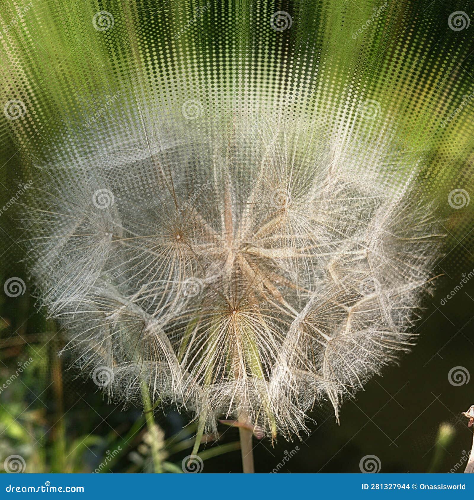 Nature Abstracts Backgrounds Blurs Textures And Shapes Royalty-Free ...