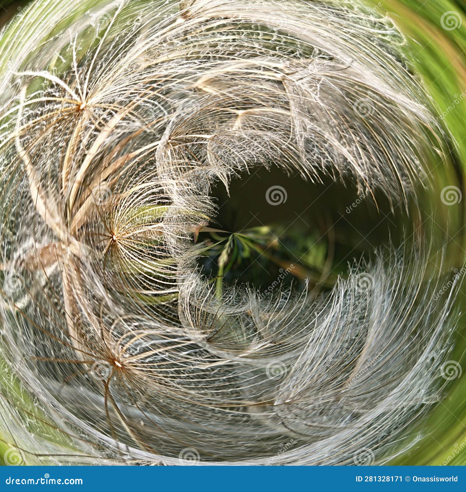 Nature Abstracts Backgrounds Blurs Textures and Shapes Stock ...