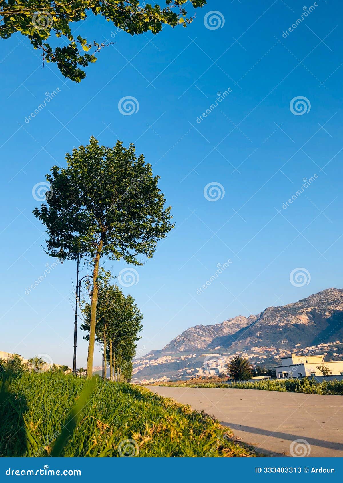 Nature Adventure a Journey Walking through Trees and Urban Nature Stock ...