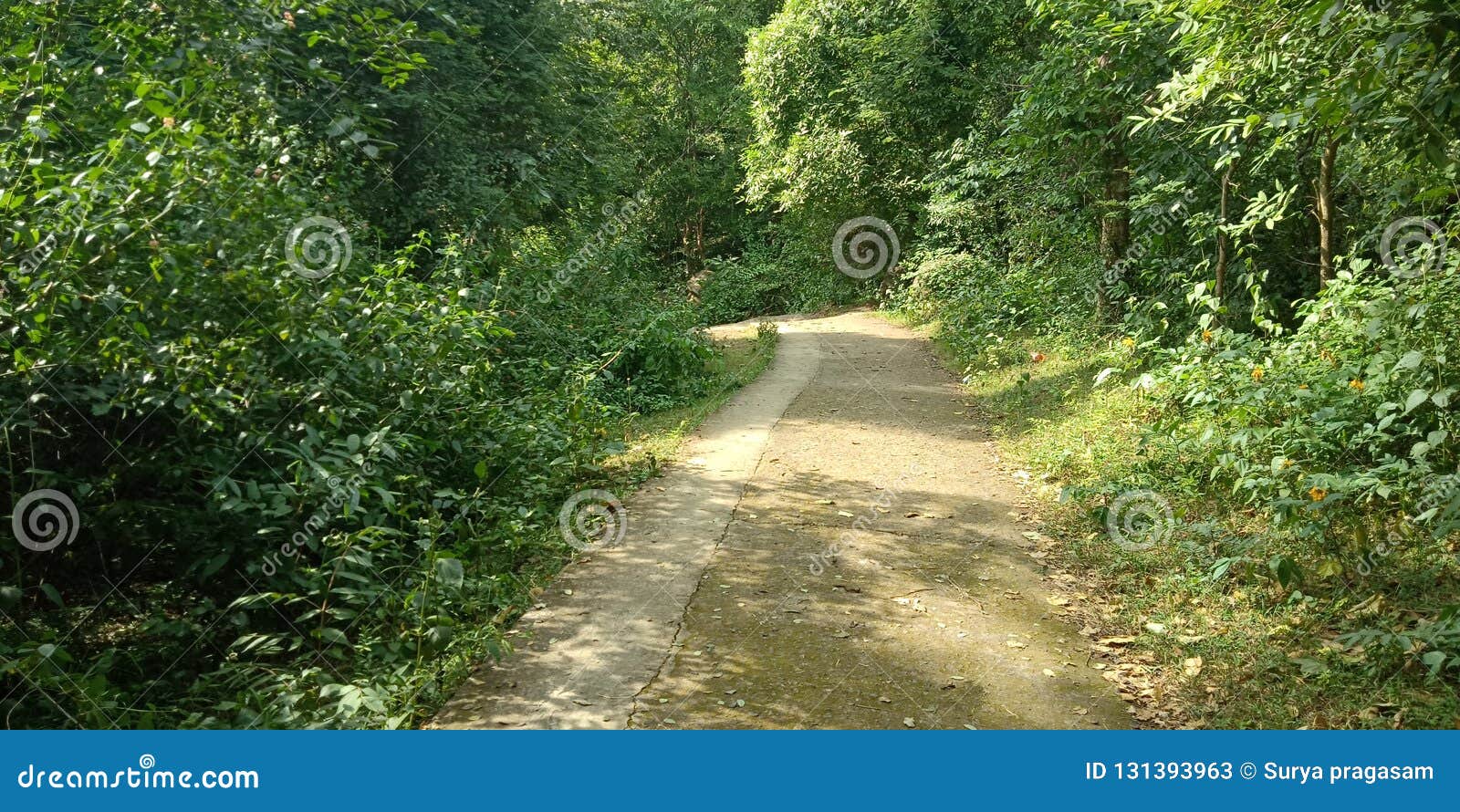 Bheeman falls path stock image. Image of alive, hills - 131393963