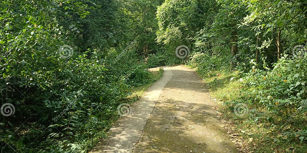 Bheeman falls path stock image. Image of alive, hills - 131393963