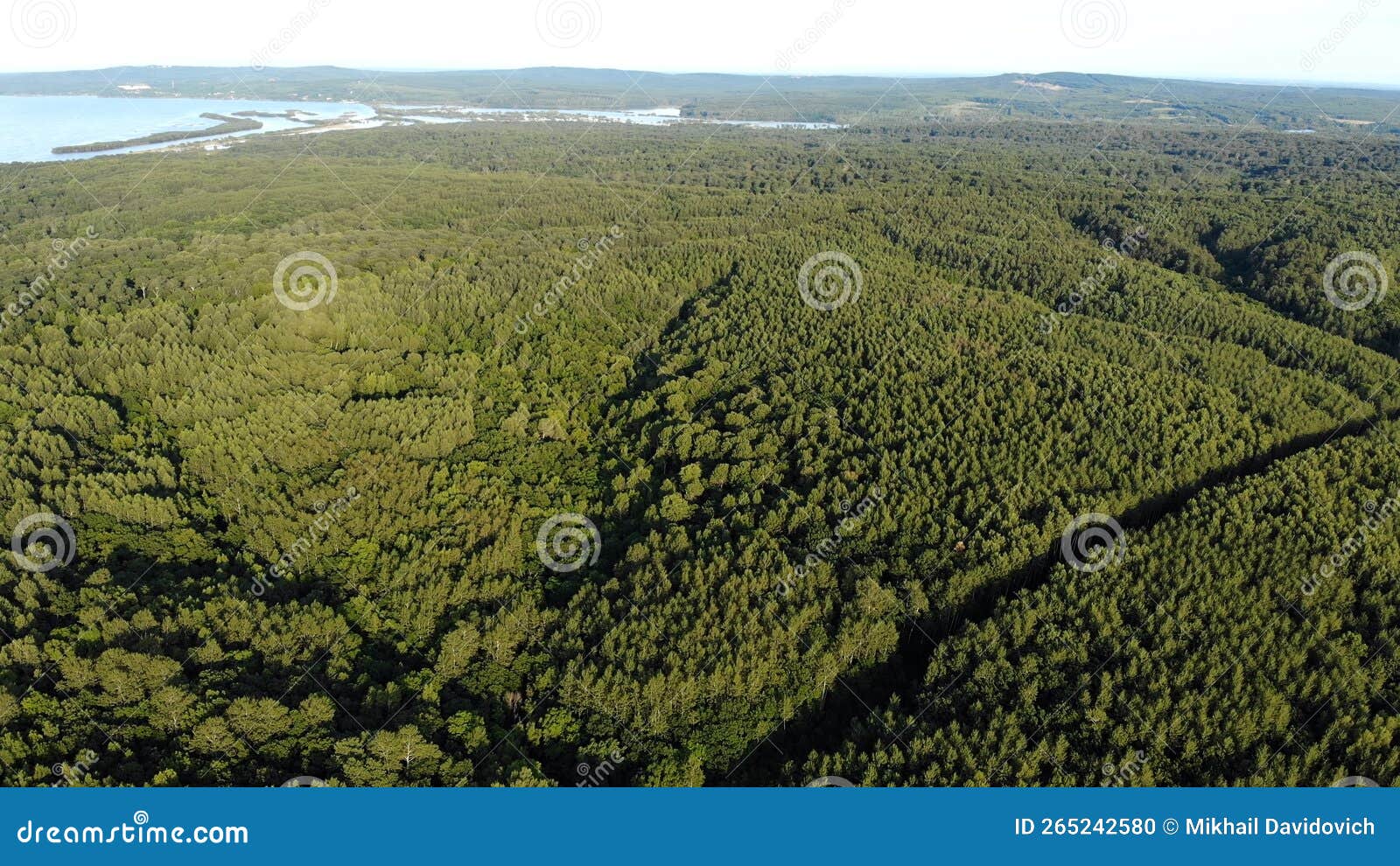 Nature on the Amur River in Russia. Aerial View. Stock Photo - Image of ...