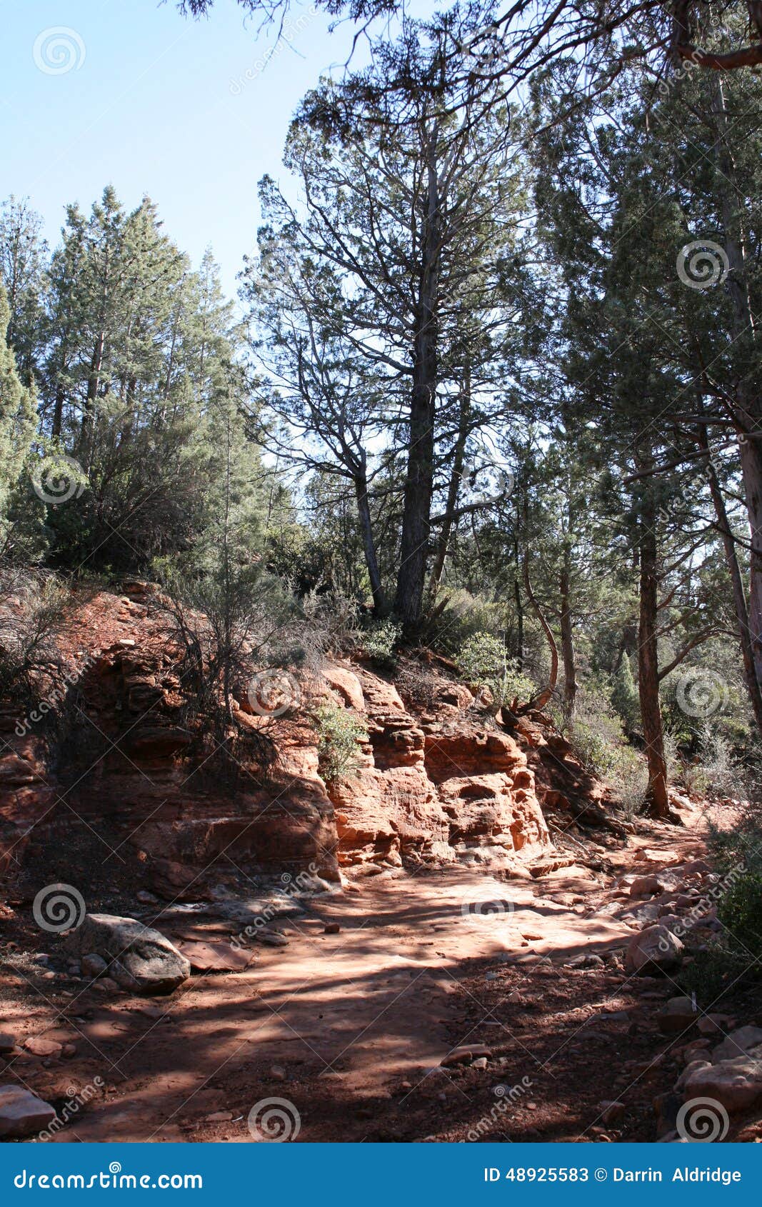 Nature of Arizona stock image. Image of shadow, nature - 48925583