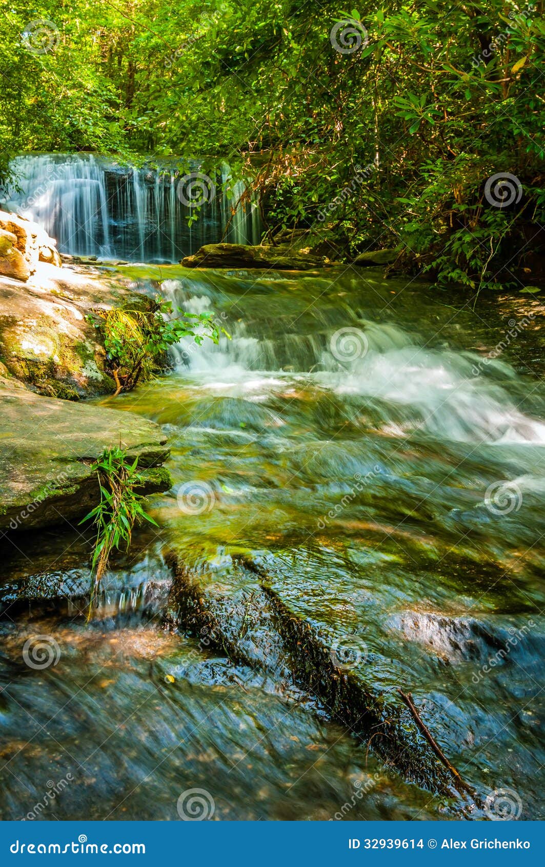 Nature Around a Small Creek Stock Photo - Image of outdoor, peaceful ...
