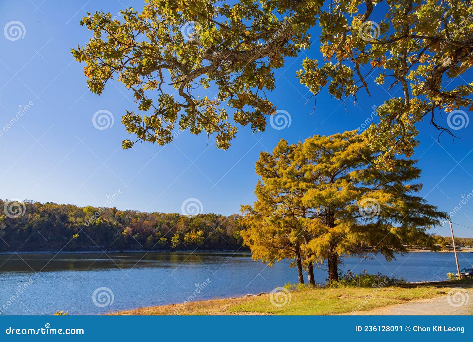 Nature Autumn Fall Color of Tenkiller State Park Stock Image - Image of ...