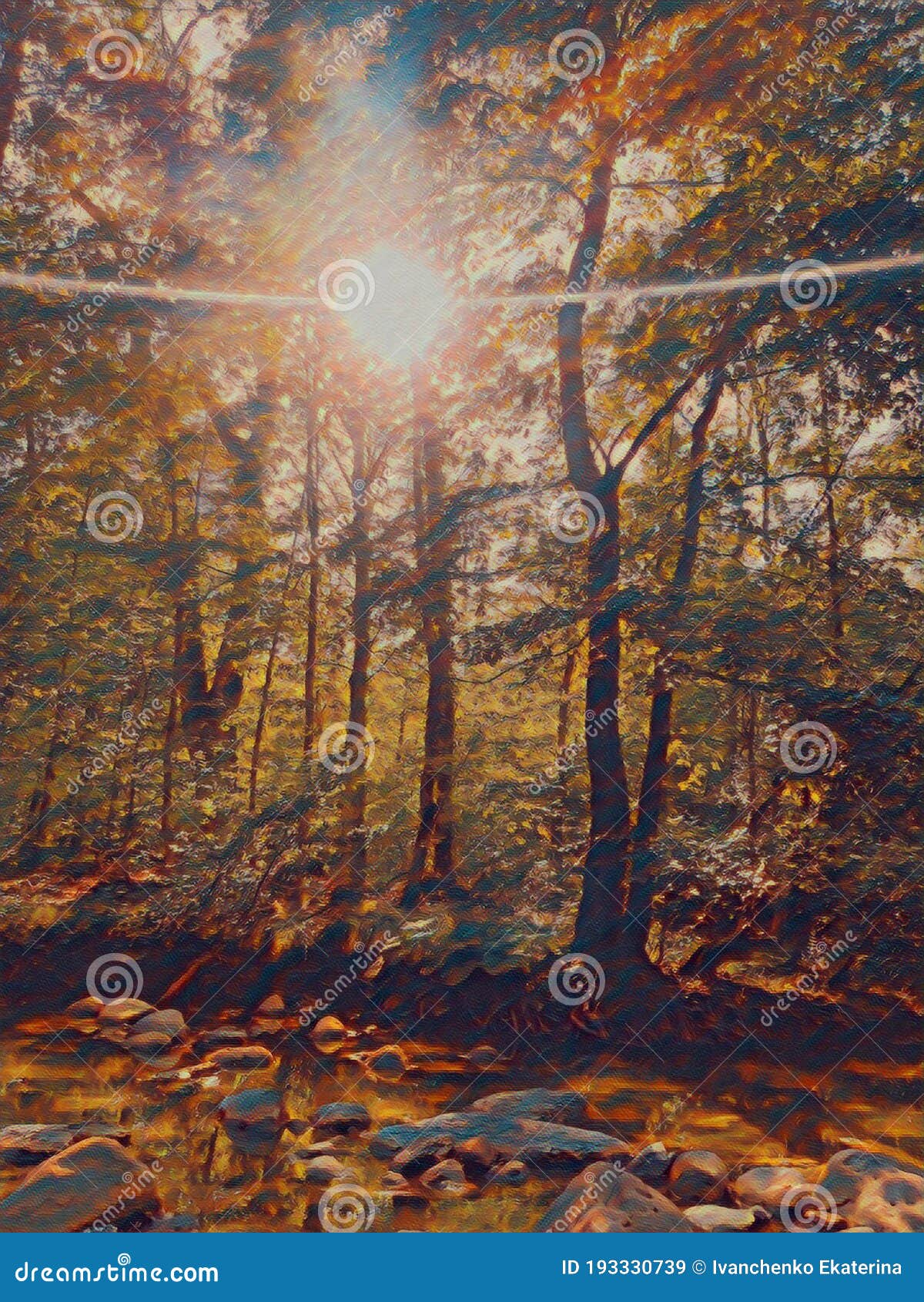 Nature. Autumn. the Sun with a Horizontal Beam. Trees. Picture Stock ...