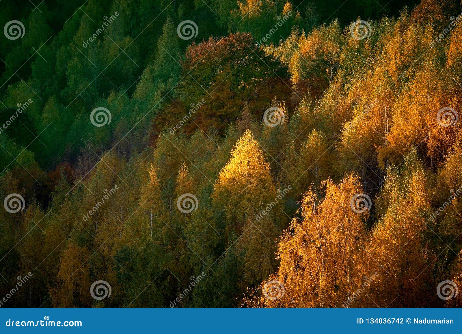 Nature Autumn Transformation Stock Photo - Image of brown, mountain ...