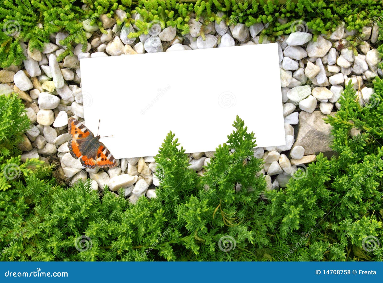 Nature background stock photo. Image of nature, plant - 14708758