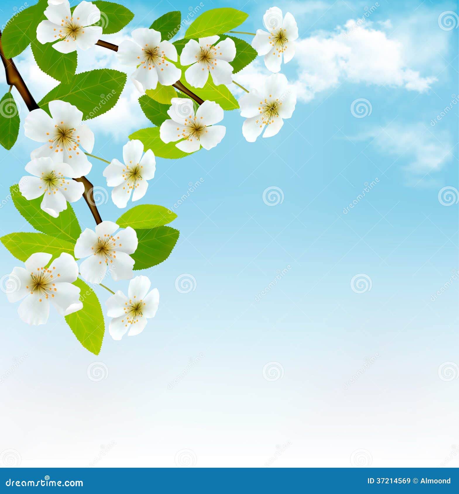 Nature Background with Blossoming Tree Brunch and Stock Vector ...
