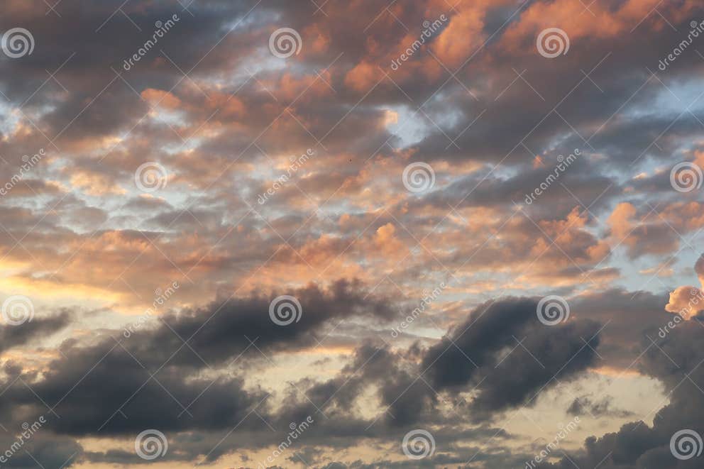 Nature background 3655 stock photo. Image of diffuse - 320834376