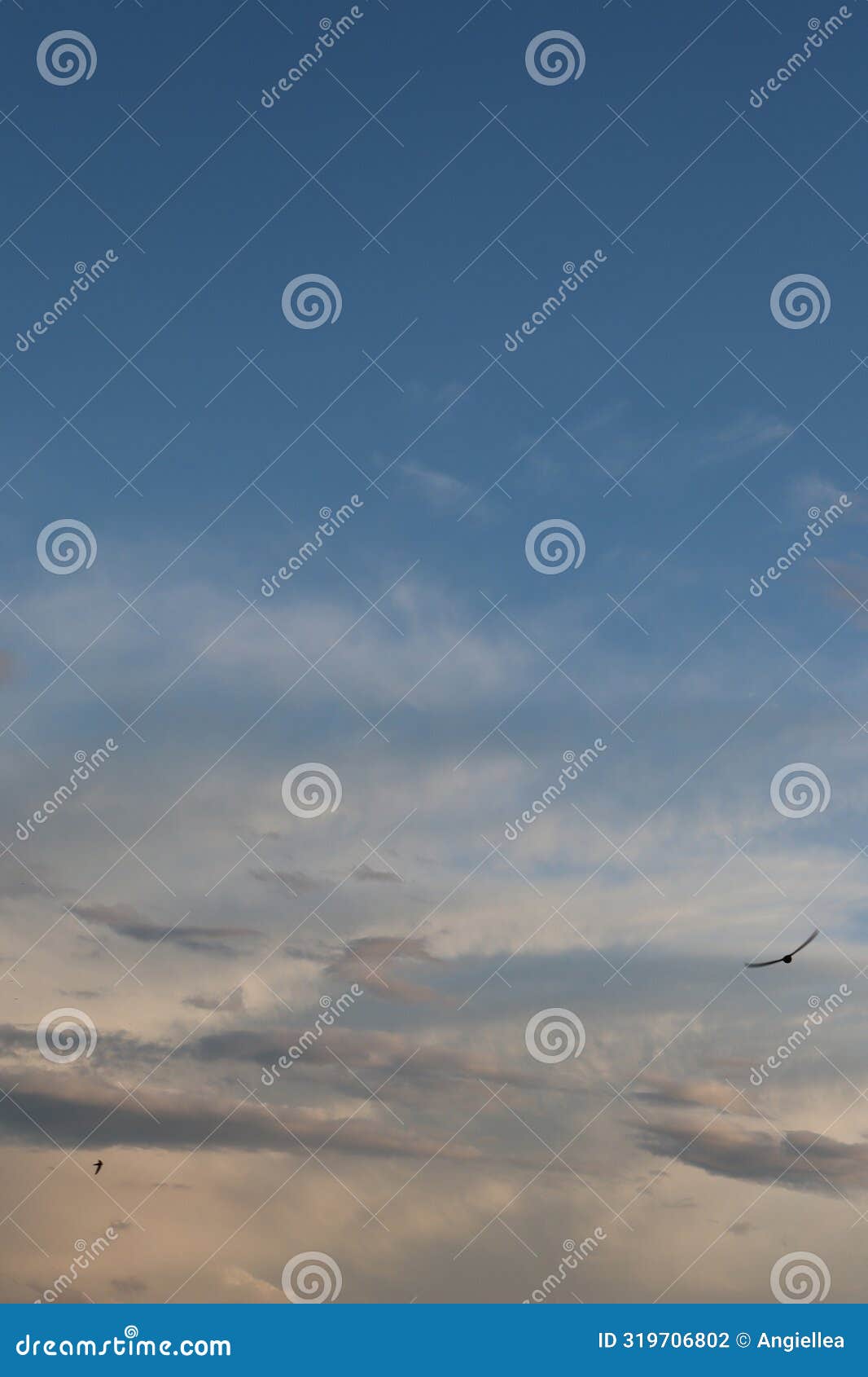 Nature background 1659 stock photo. Image of diffuse - 319706802