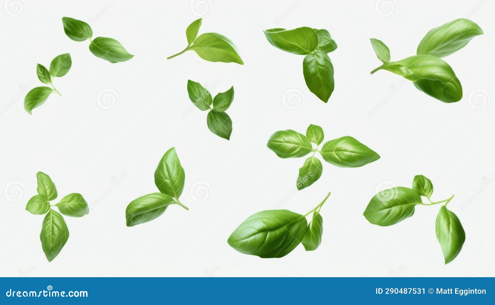 Nature Background - Floating Green Leaves in a Natural Background Stock ...