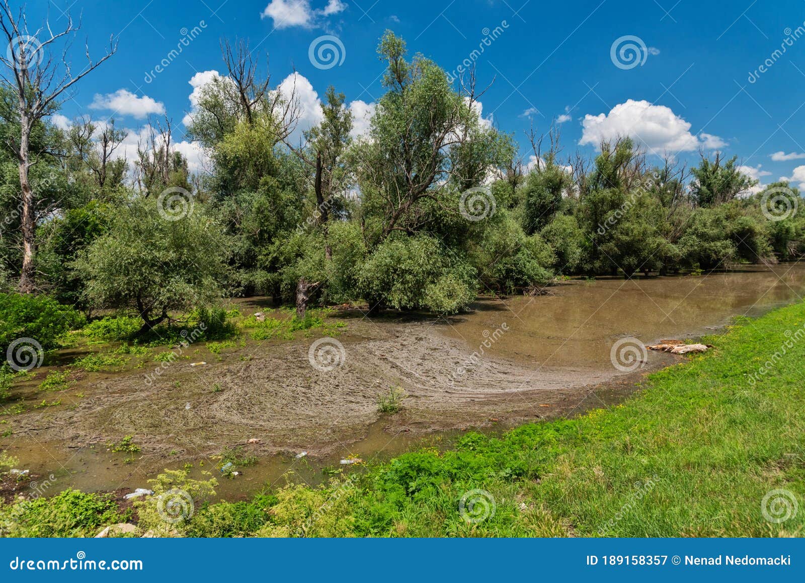 Background Flooding Flow. Royalty-Free Stock Photo | CartoonDealer.com ...