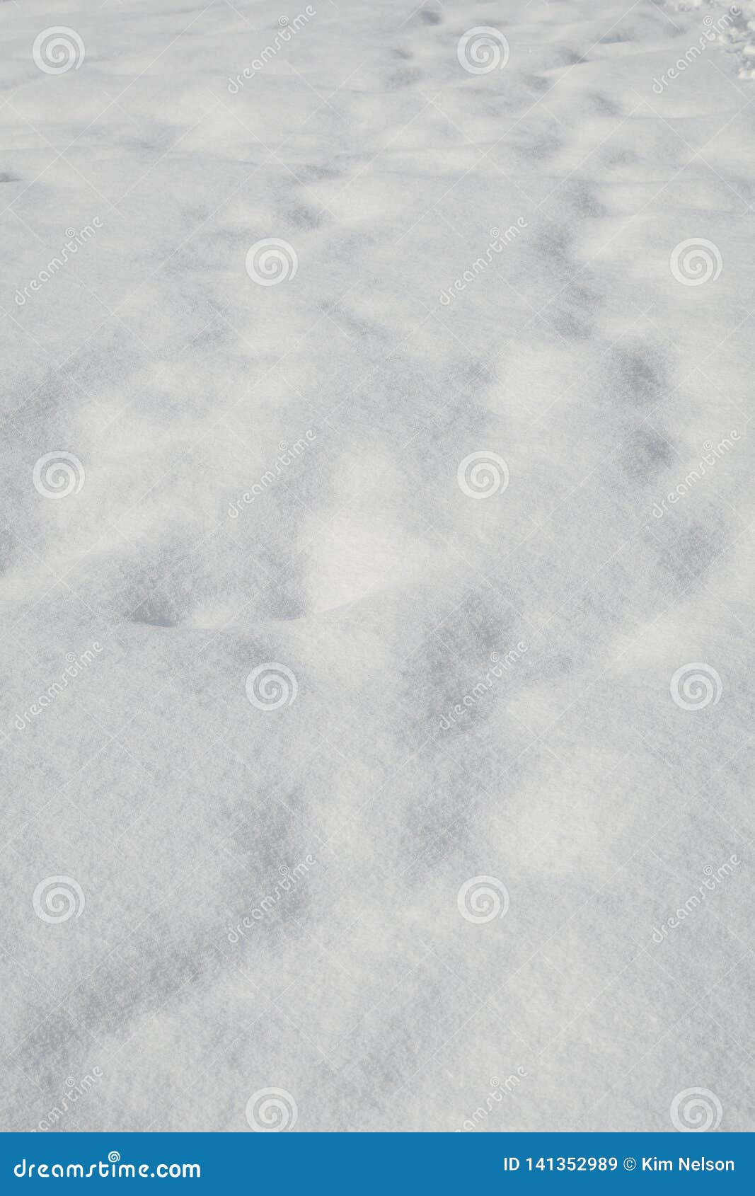 Nature Background of Fresh Powder Snow, Pattern and Texture in White ...