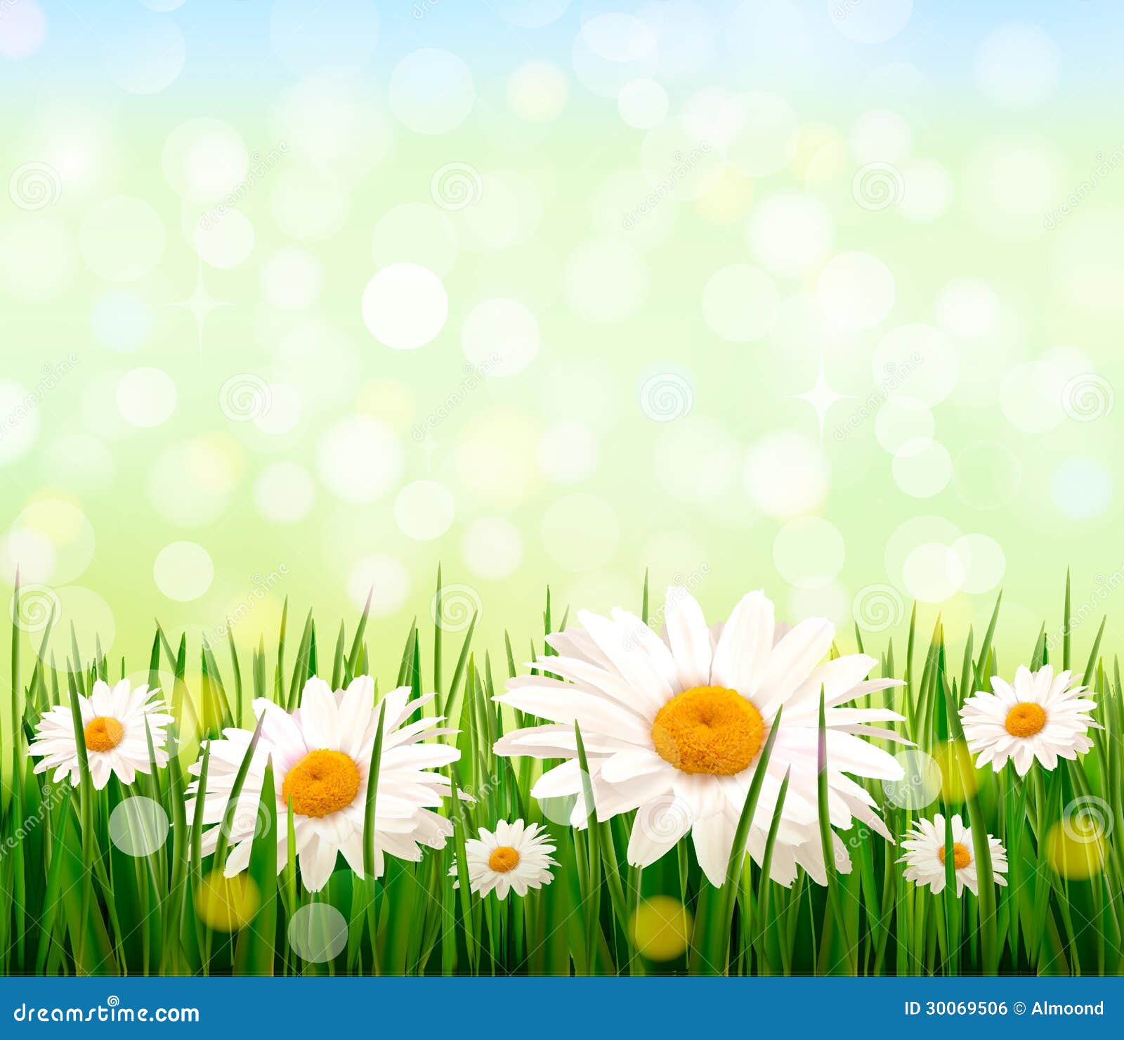 Nature Background with Green Grass and Flowers Stock Vector ...