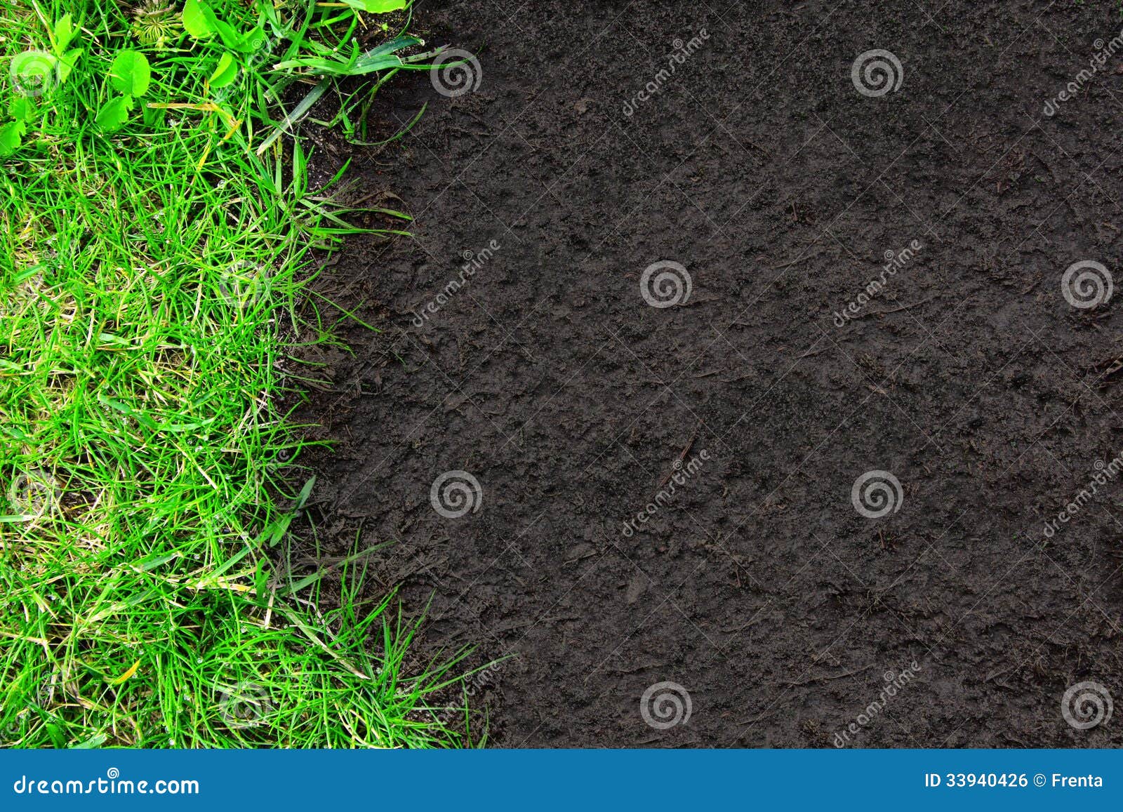 Nature Background with Green Grass and Soil Stock Photo - Image of dirt ...