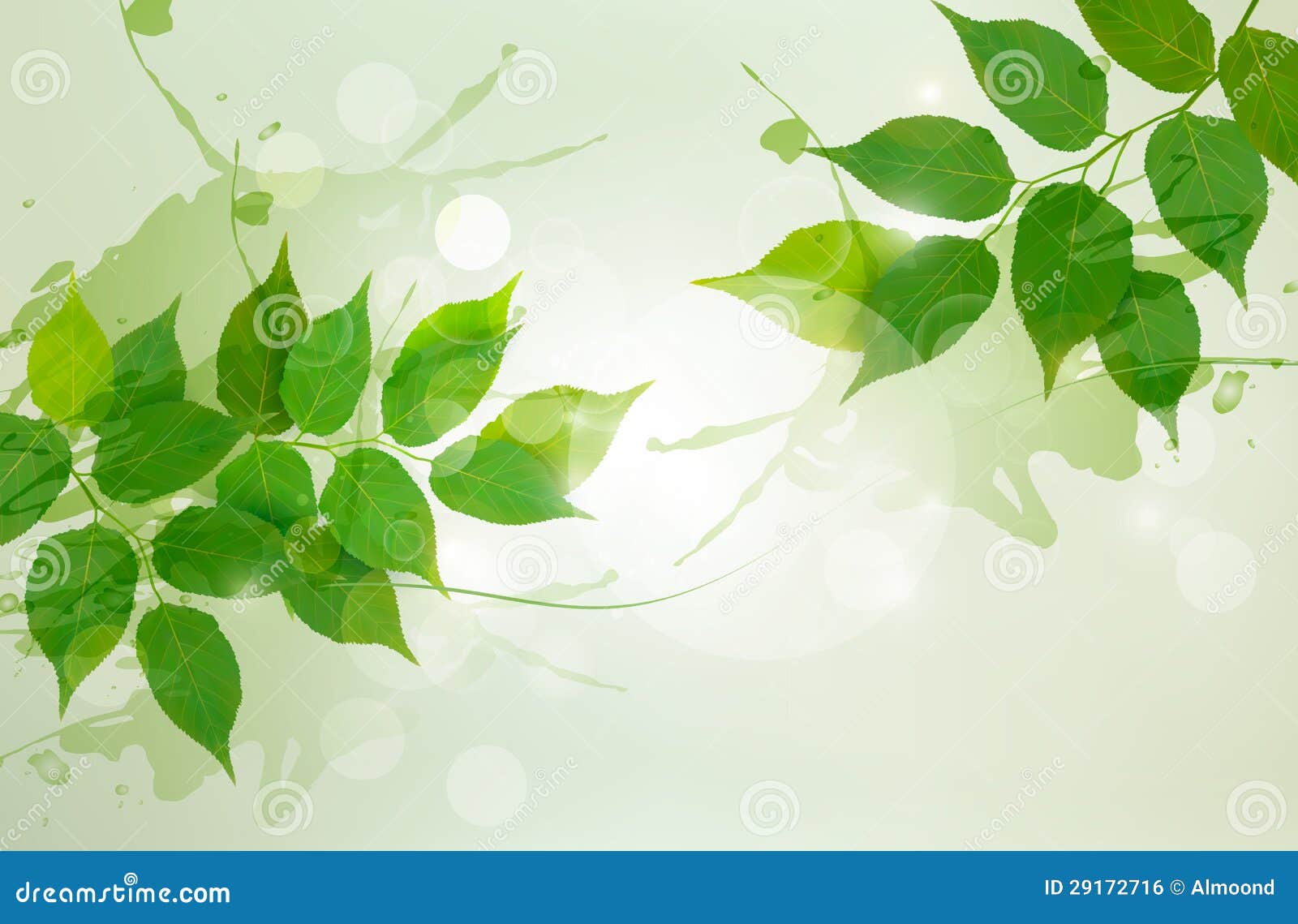 Nature Background with Green Spring Leaves Stock Vector - Illustration ...
