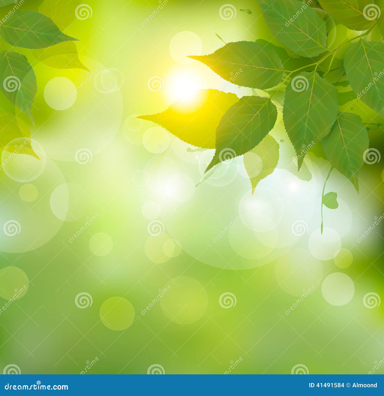Nature Background with Green Spring Leaves. Stock Vector - Illustration ...