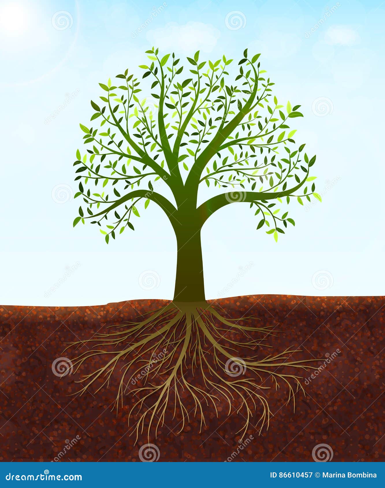 Nature Background with Green Tree with Leaves and Roots Vector Stock ...