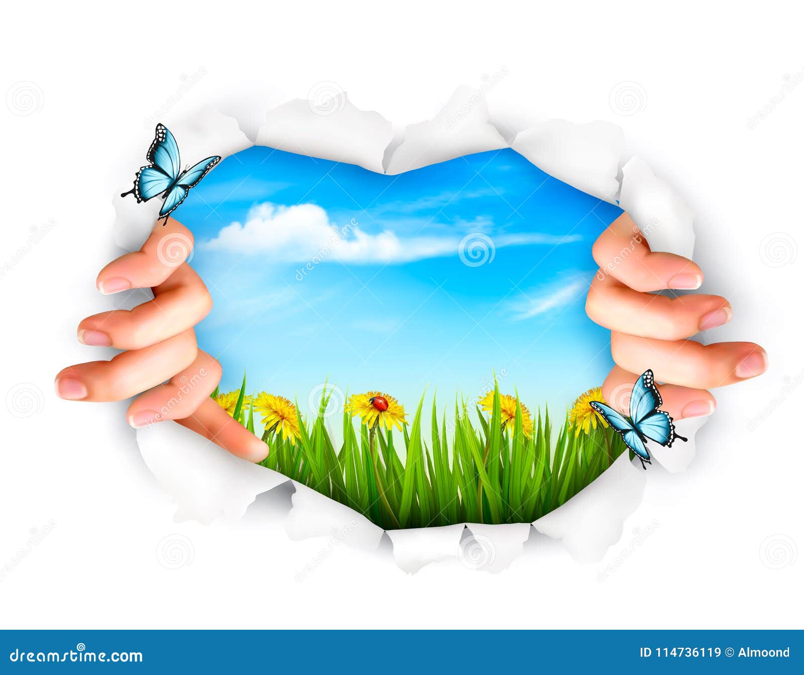 Hands Ripping Red Heart Vector Illustration | CartoonDealer.com #206819832