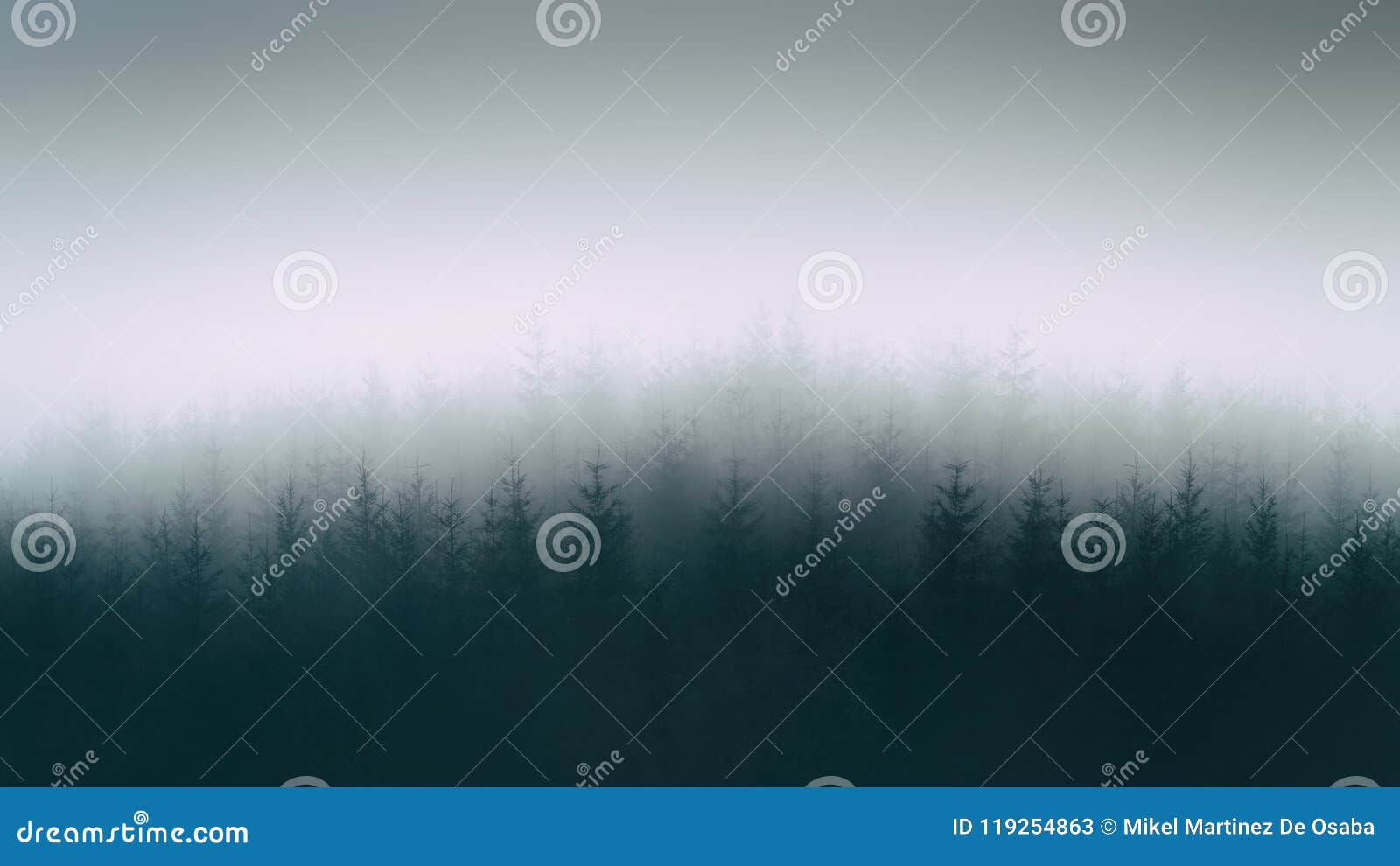 Nature Background with Moody Forest Stock Image - Image of dramatic ...