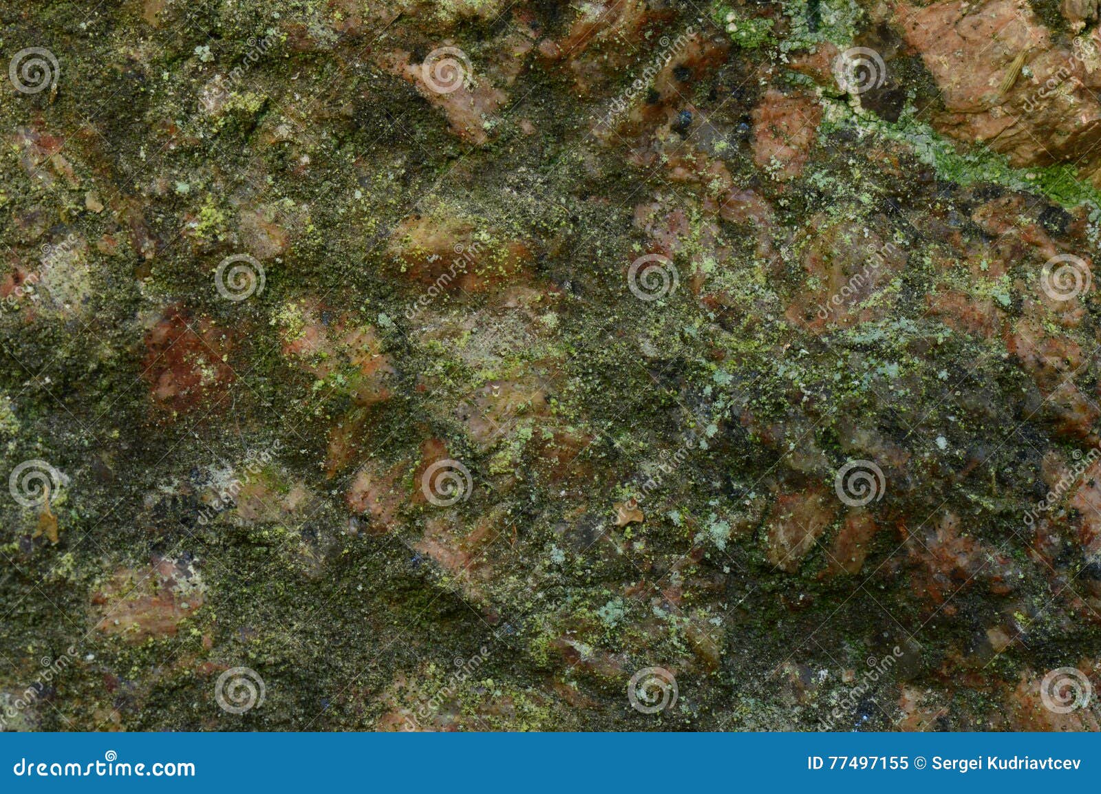 Nature Background Old Granite Stone Covered with Moss Stock Image ...