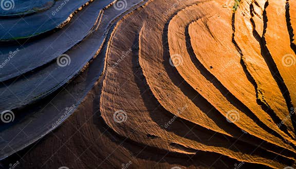 Nature Background with Sinuous Waves and Rough Textures Stock ...