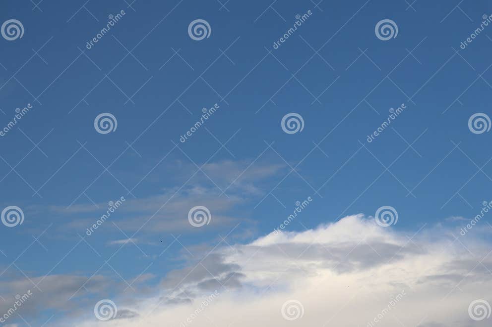 Nature background 1602 stock image. Image of sunlight - 319520169