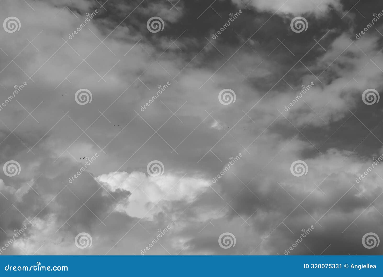 Nature background 3113 stock image. Image of horizon - 320075331