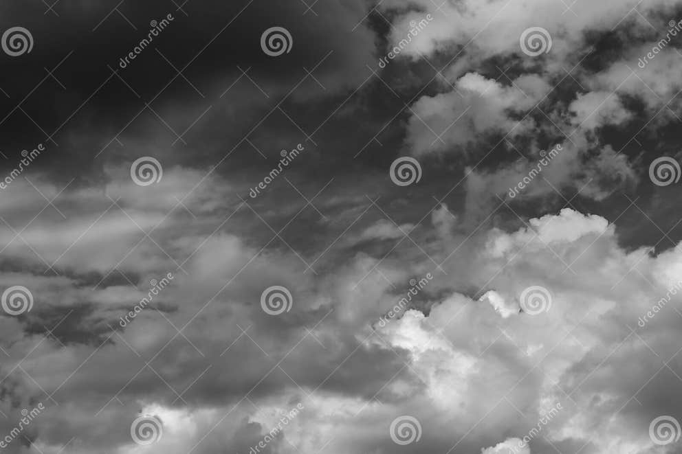 Nature background 3181 stock photo. Image of monochrome - 320082960