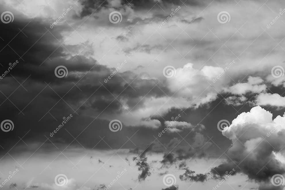 Nature background 3154 stock photo. Image of background - 320084368