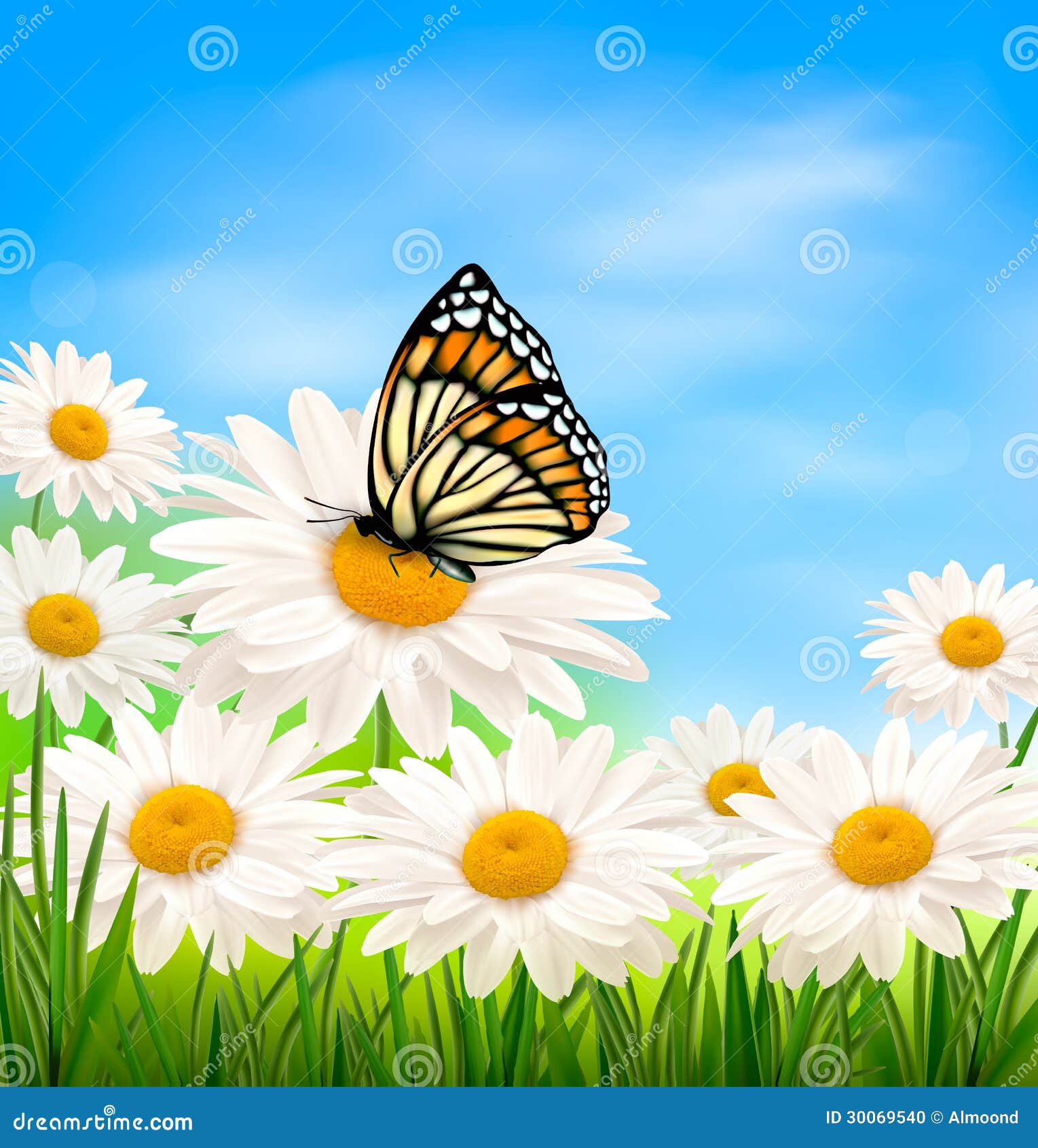 Spring Daisy Flower Ai Generated Royalty-Free Illustration ...