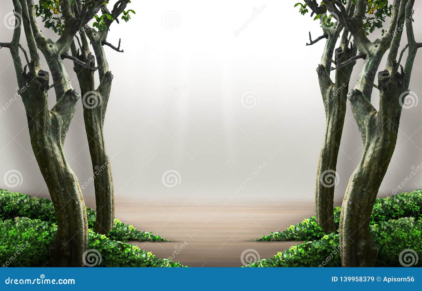 Nature Background with Surrounding Trees. Isolated and Clipping Path ...