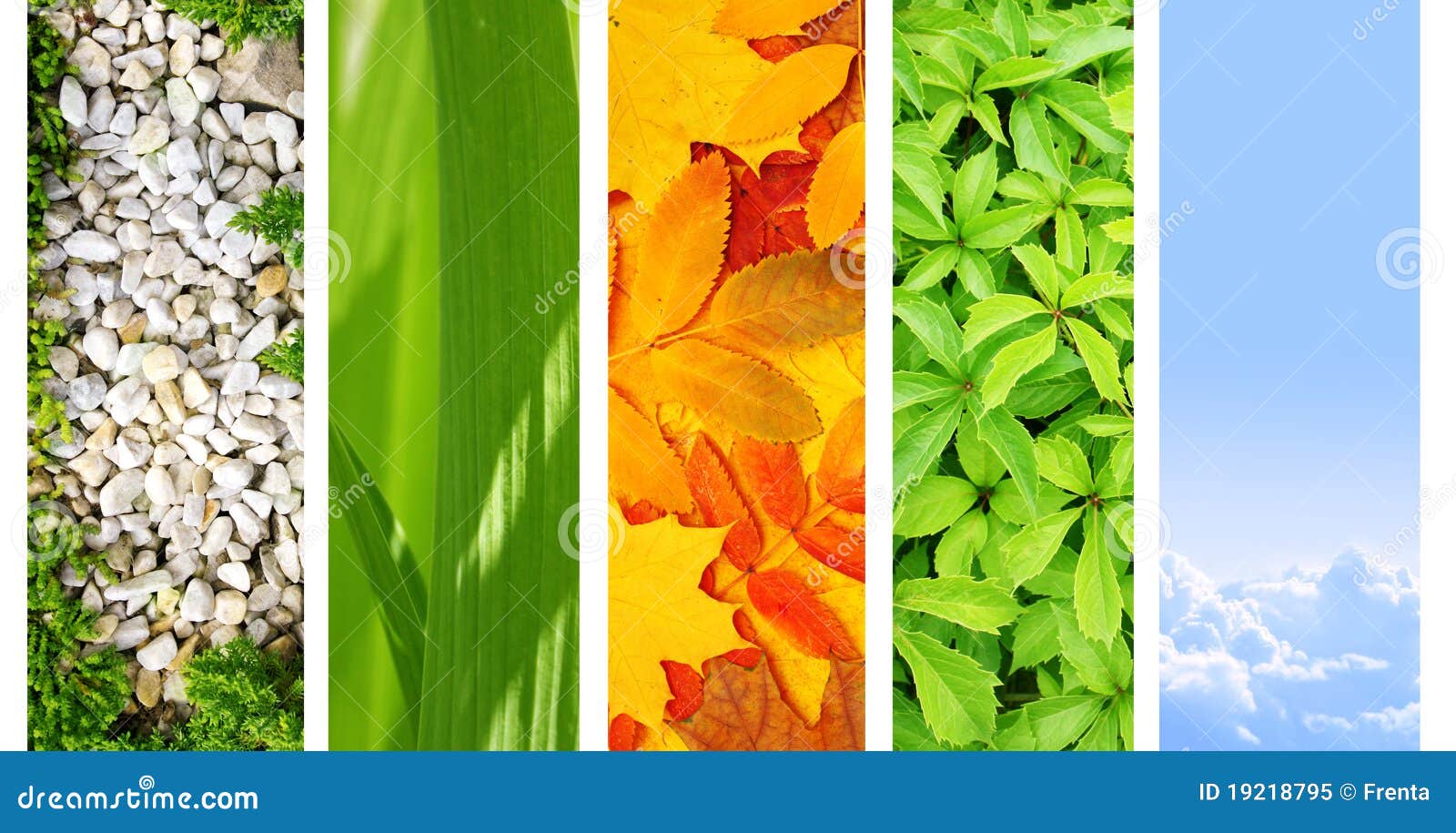Nature banners stock image. Image of environmental, collection - 19218795