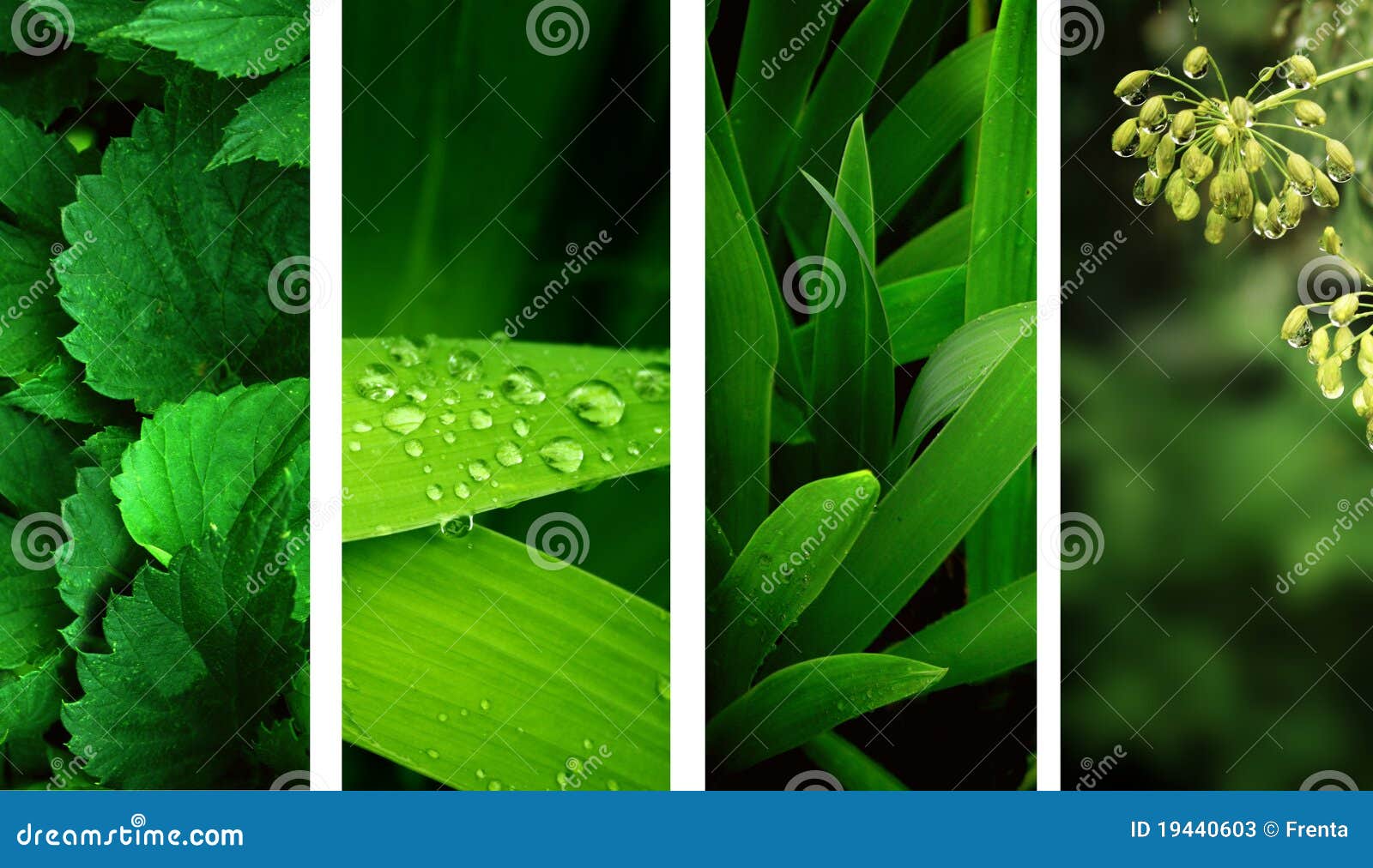 Nature banners stock image. Image of freshness, season - 19440603