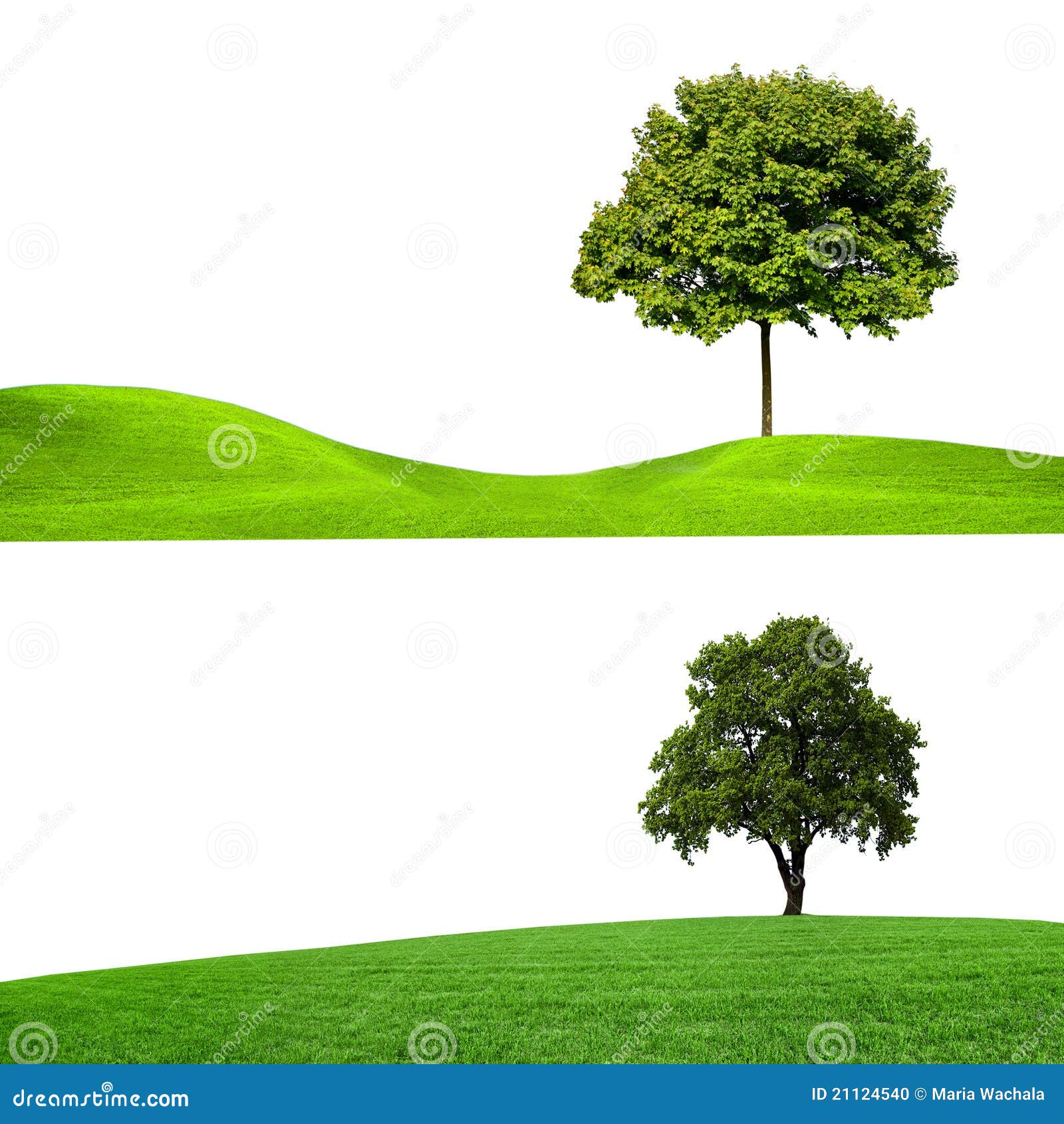 Nature, banners stock photo. Image of forest, life, green - 21124540