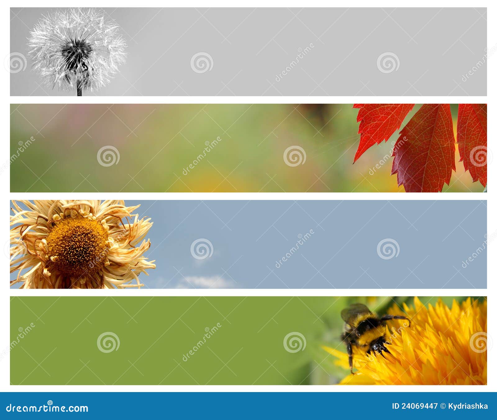 Nature banners set stock image. Image of white, background - 24069447