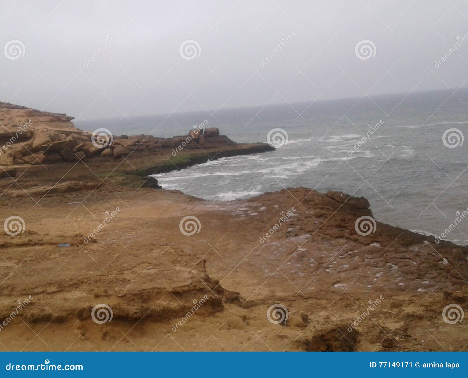 Nature Beach Fish Rock Water Stock Image - Image of geology, ocean ...