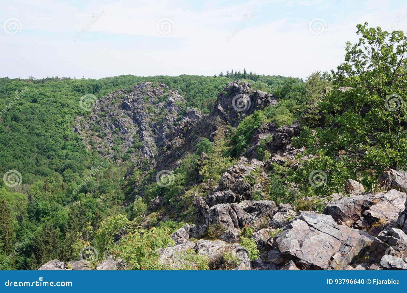 Nature stock photo. Image of beautiful, capture, trees - 93796640