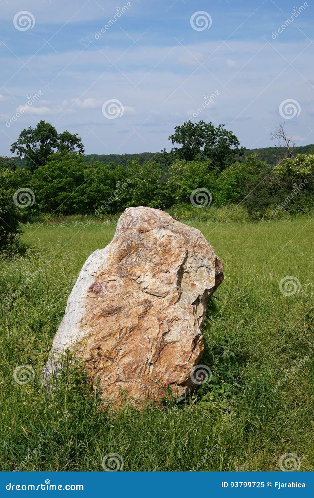 Nature stock image. Image of capture, beautiful, panorama - 93799725