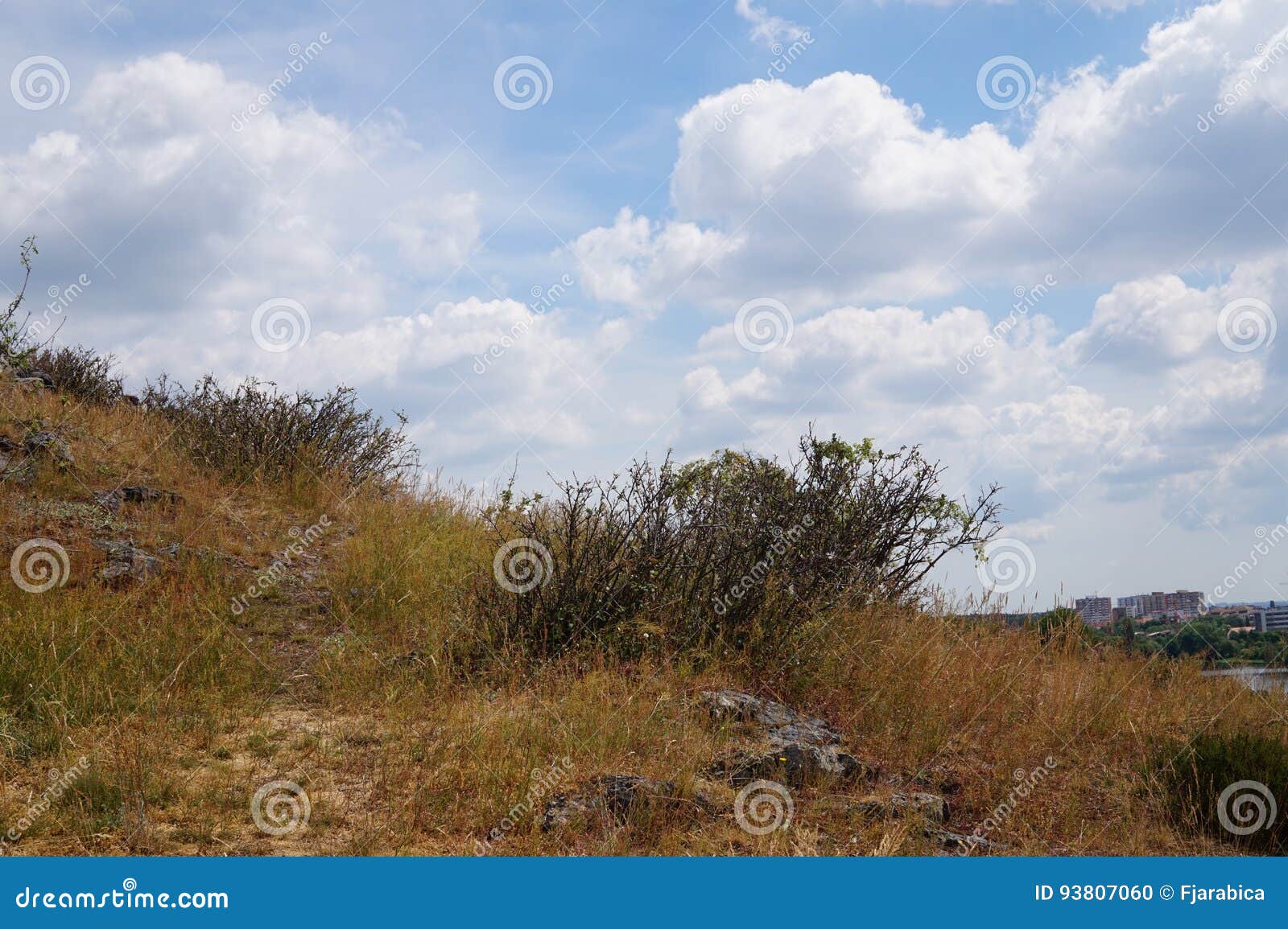 Nature stock photo. Image of beautiful, nature, capture - 93807060