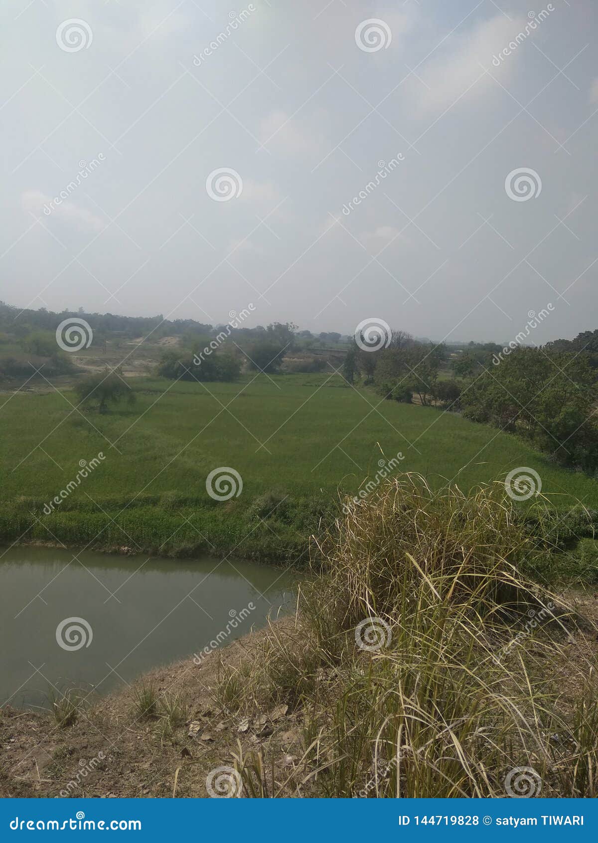 Nature stock photo. Image of smart, nature, good, beautiful - 144719828