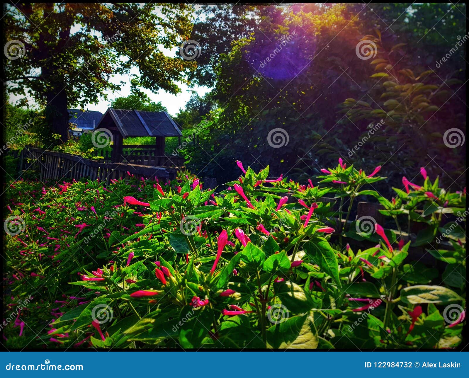 Moment Imprinted Stock Photos - Free & Royalty-Free Stock Photos from ...