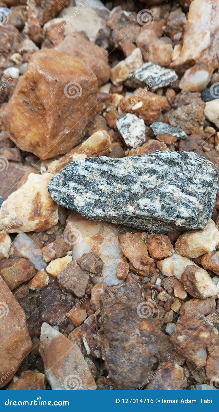 Scattered rocks stock photo. Image of rich, rocks, beautiful - 127014716