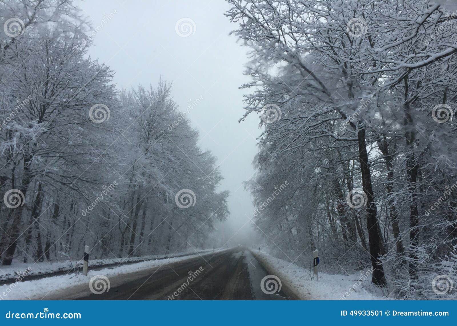 Nature stock image. Image of beautiful, white, nature - 49933501